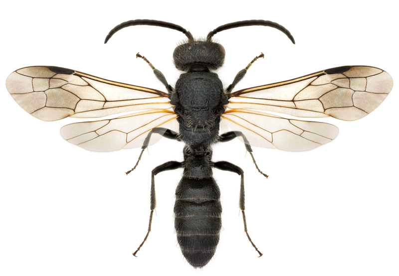 Artfakta från SLU Artdatabanken