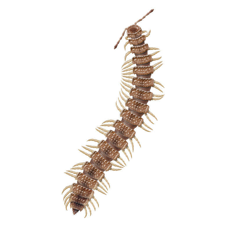 Artfakta från SLU Artdatabanken