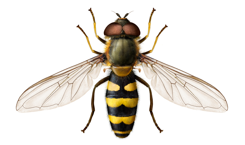 Artfakta från SLU Artdatabanken