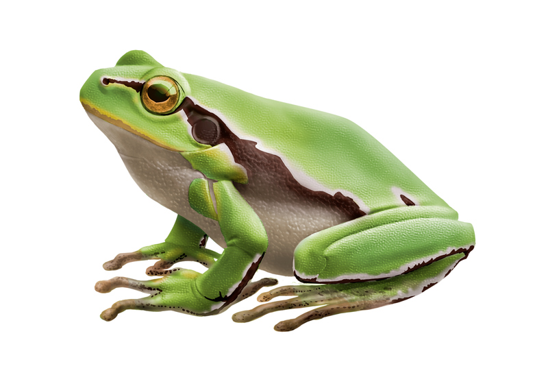 Artfakta från SLU Artdatabanken