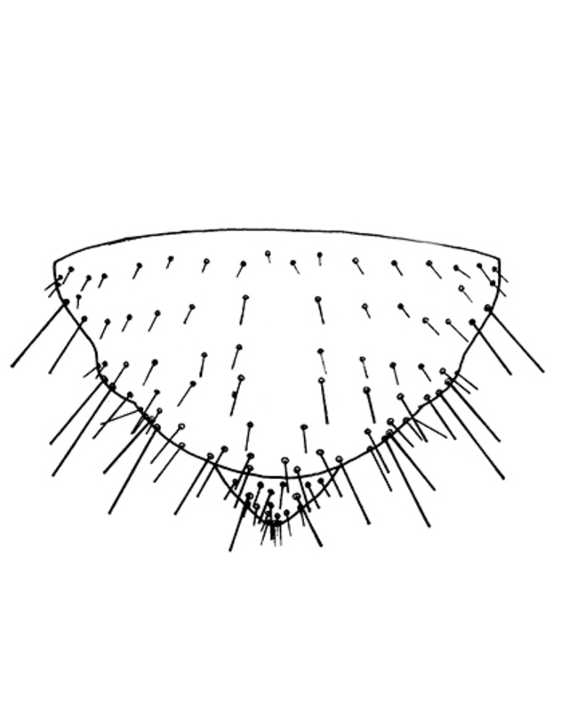 Artfakta från SLU Artdatabanken