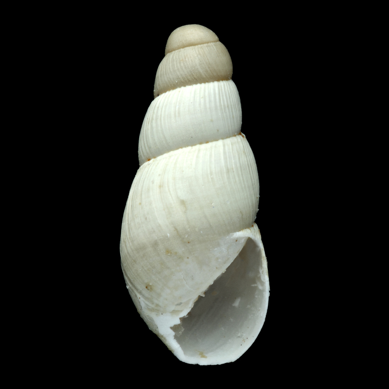 Artfakta från SLU Artdatabanken