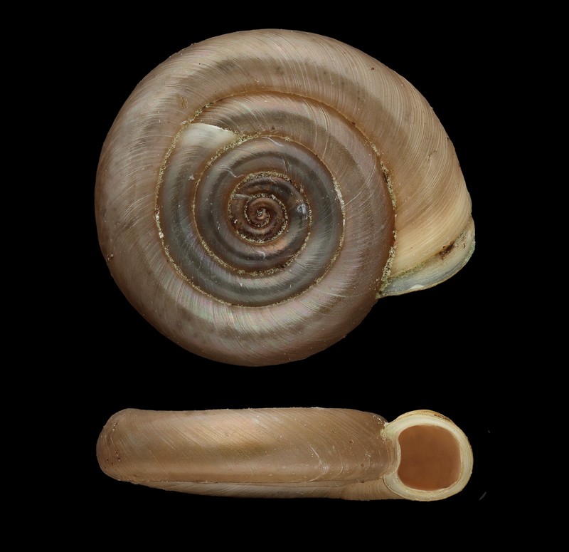 Artfakta från SLU Artdatabanken