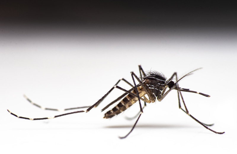 Artfakta från SLU Artdatabanken