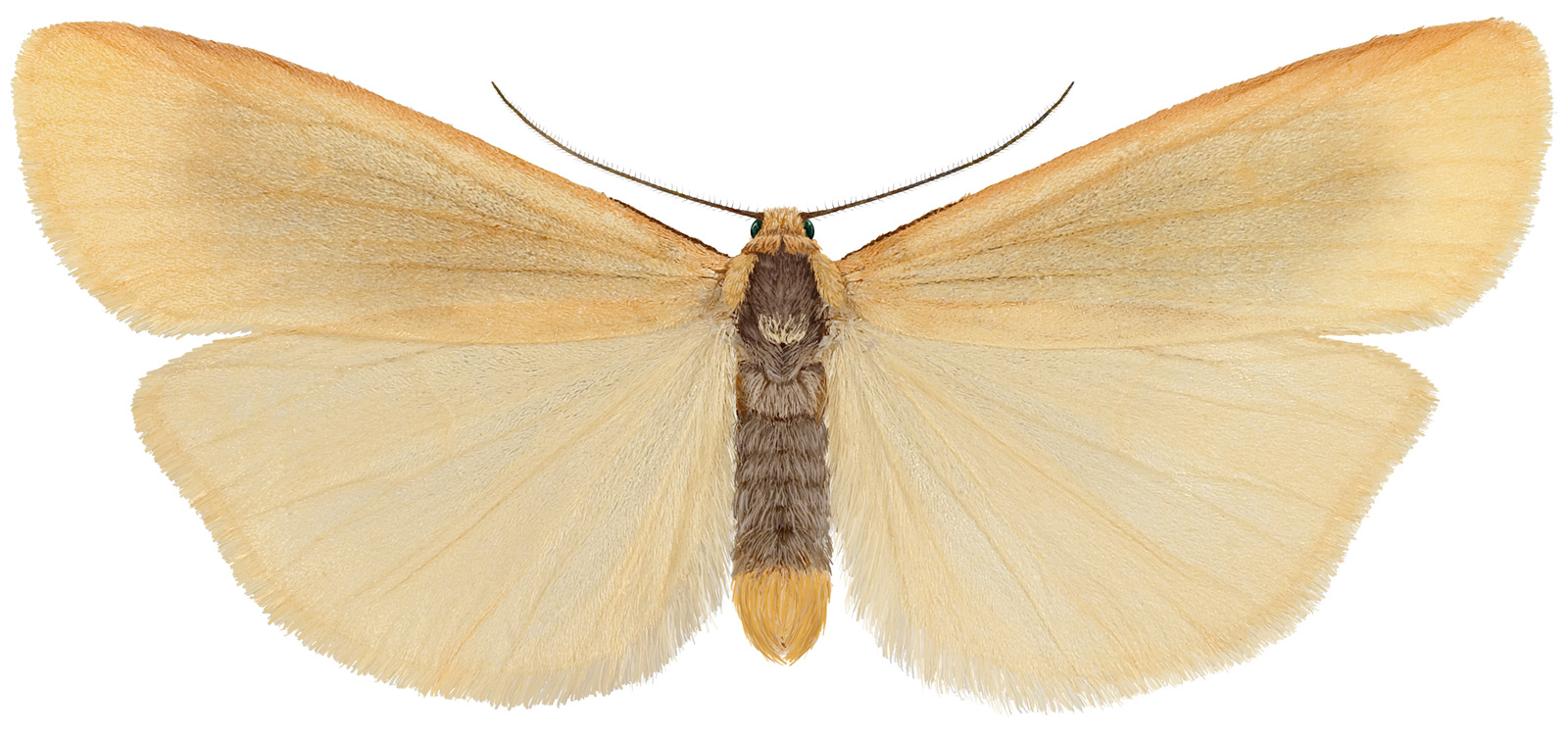 Artfakta från SLU Artdatabanken