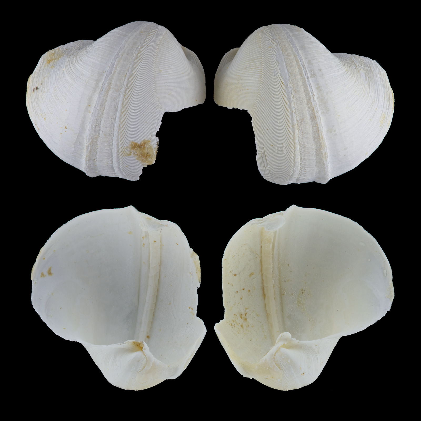 Artfakta från SLU Artdatabanken