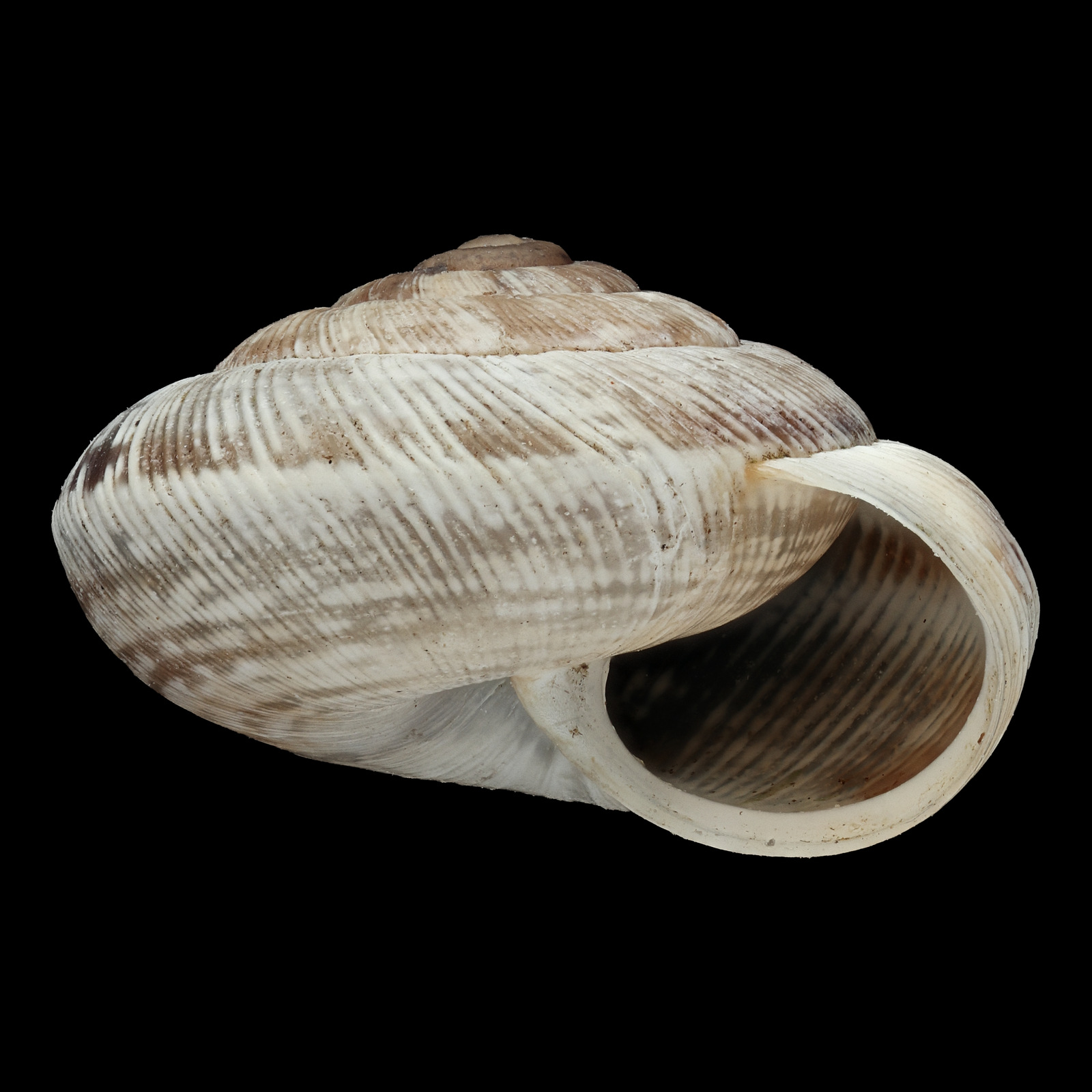 Artfakta från SLU Artdatabanken