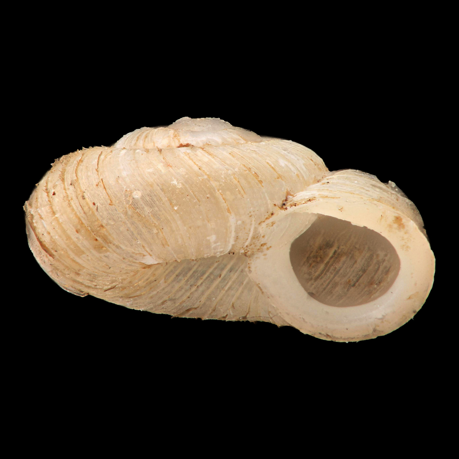 Artfakta från SLU Artdatabanken