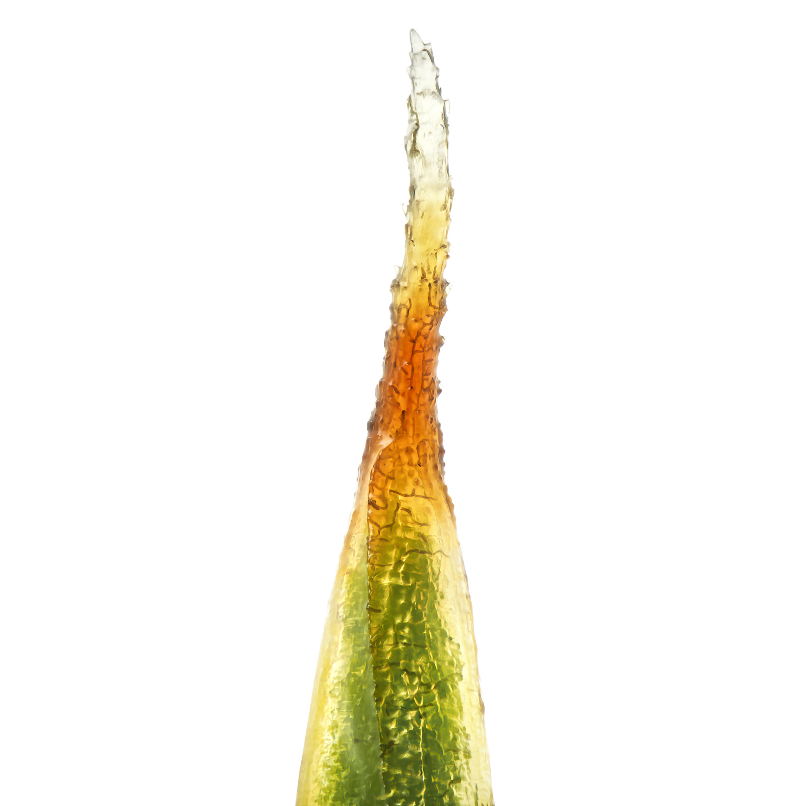 Artfakta från SLU Artdatabanken