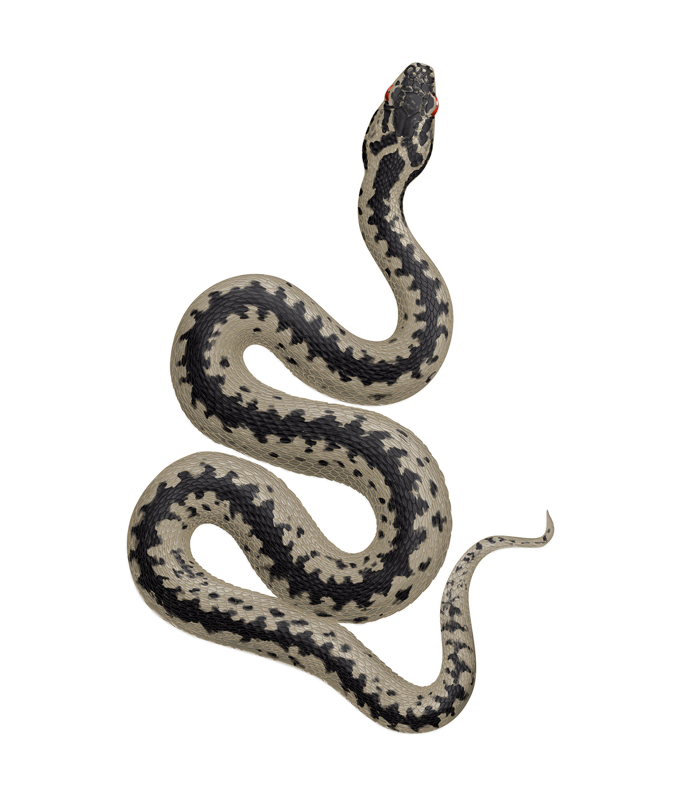 Artfakta från SLU Artdatabanken