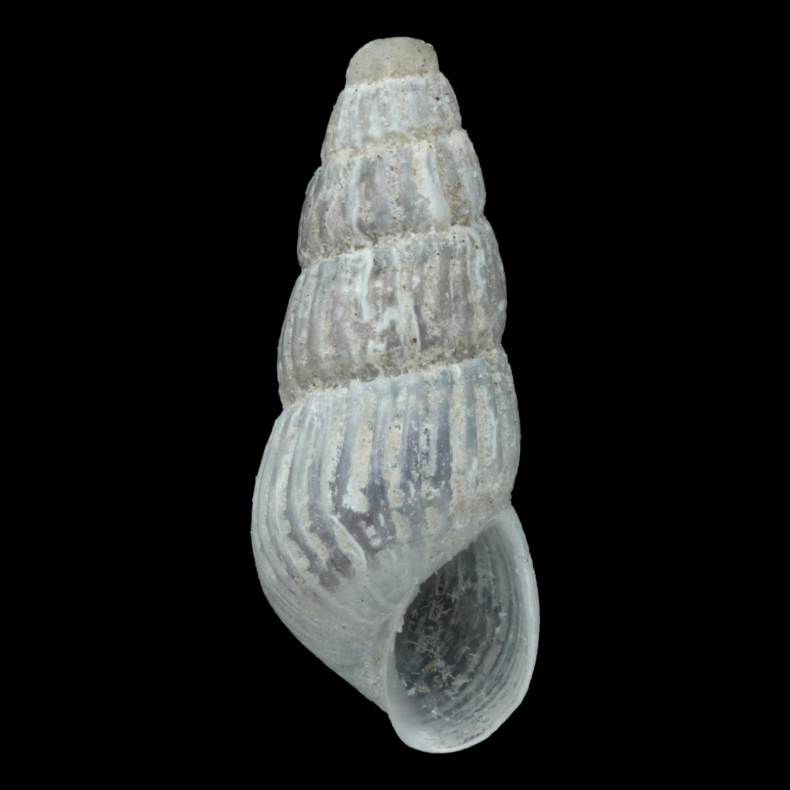 Artfakta från SLU Artdatabanken