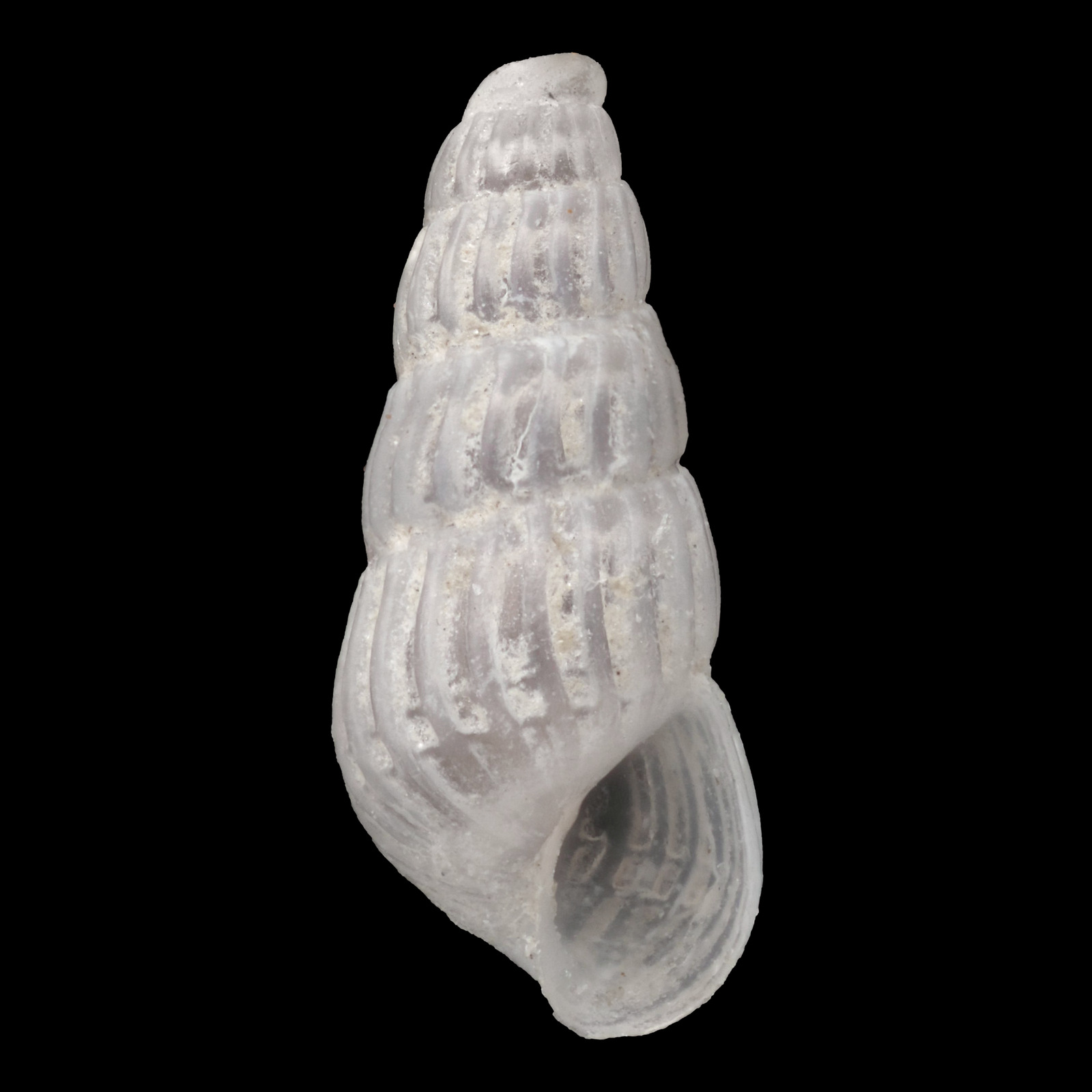 Artfakta från SLU Artdatabanken