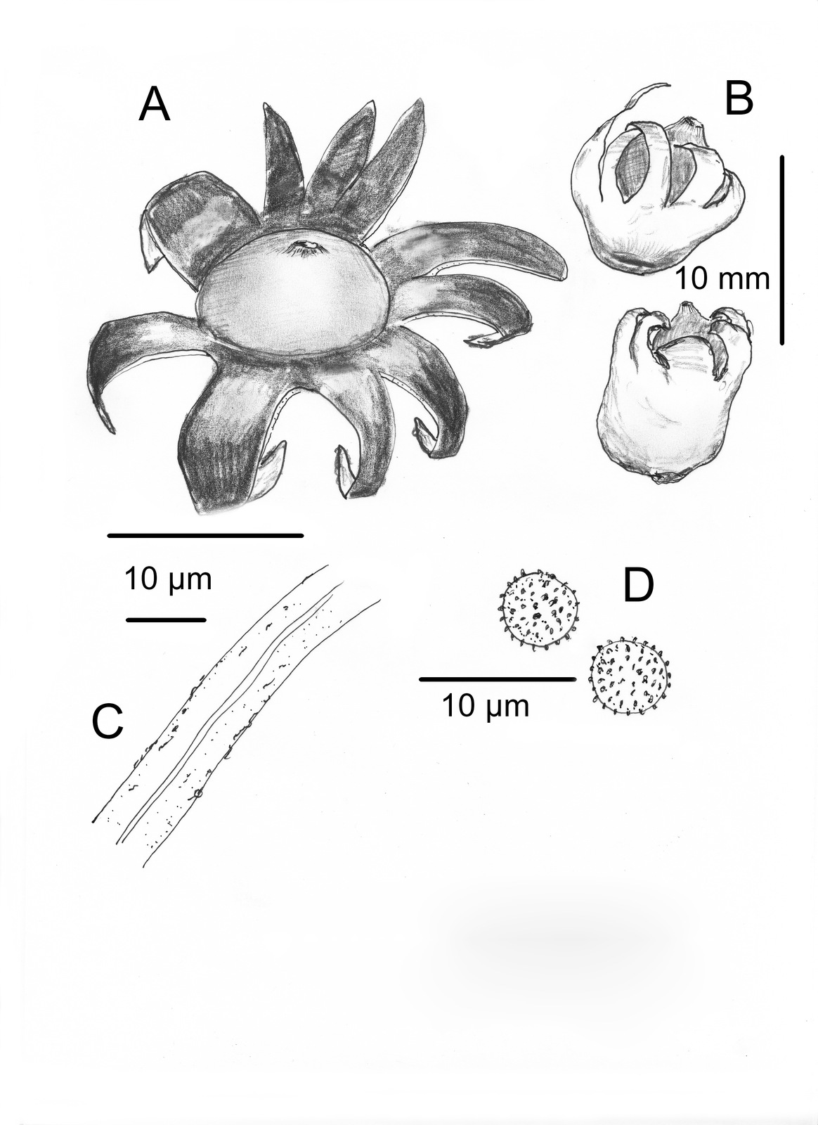 Artfakta från SLU Artdatabanken