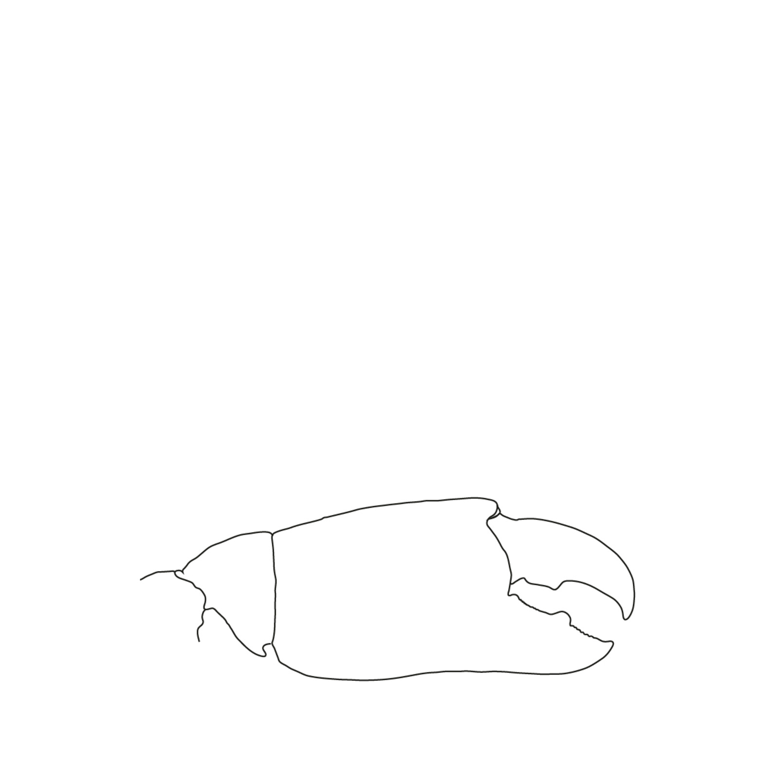 Artfakta från SLU Artdatabanken